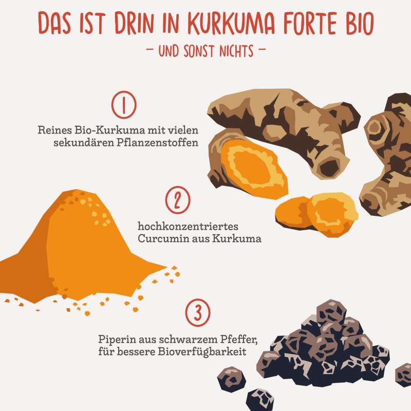 Kurkuma Forte Kapseln | Bio Curcumin | 160 Kapseln